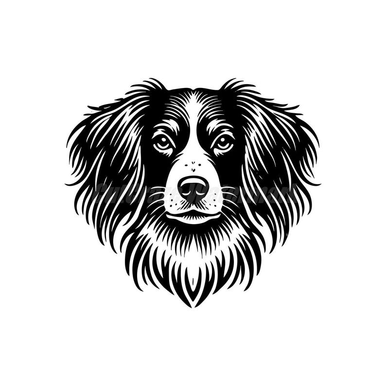 Vector Stencil Nederlandse Kooikerhondje Svg Dxf and Png Files ...
