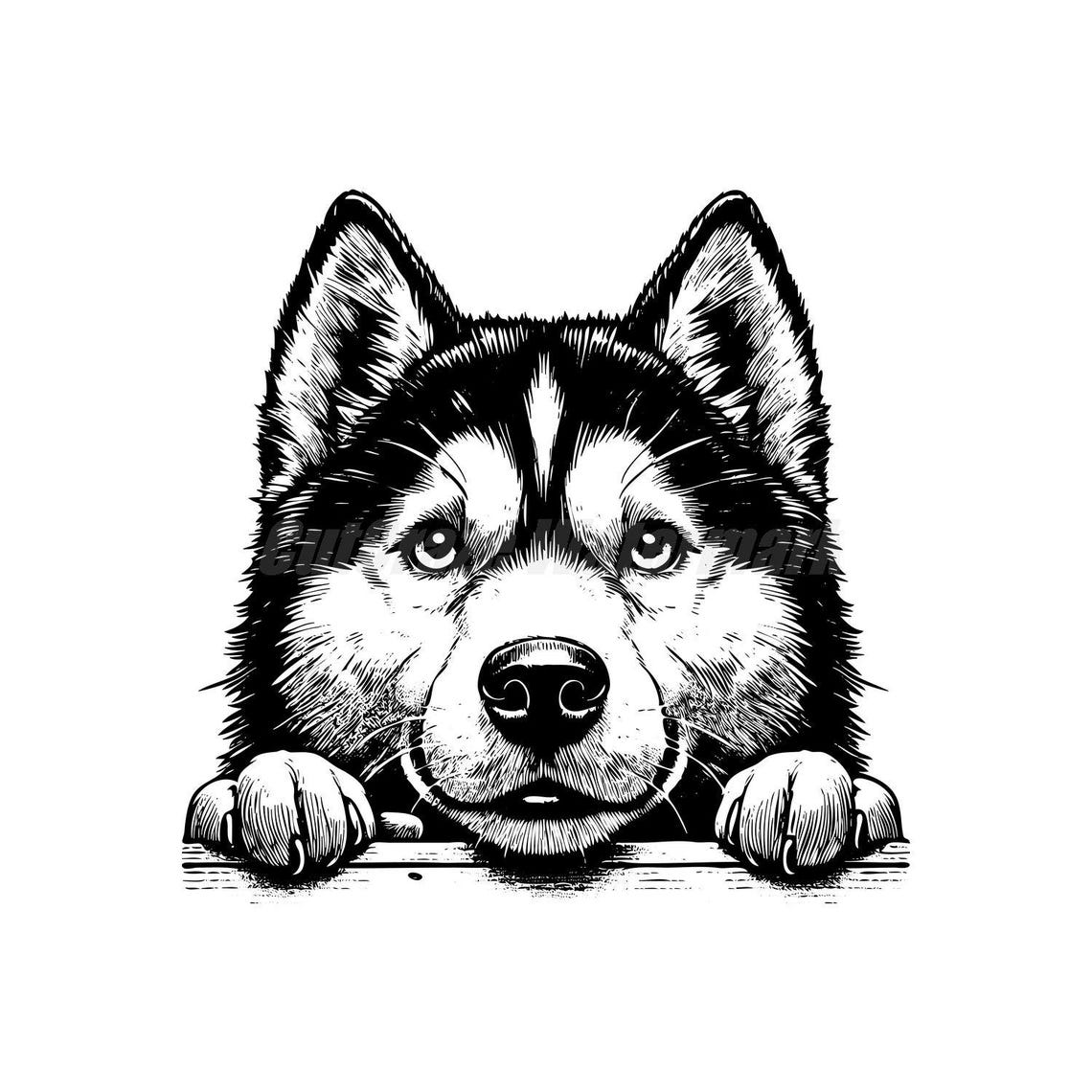 Siberian Husky in a Peeking Pose Svg Dxf and Png Files - Instant ...