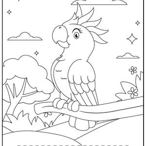 Jungle Adventures Kids Activity and Coloring Book Learn About Animals A ...