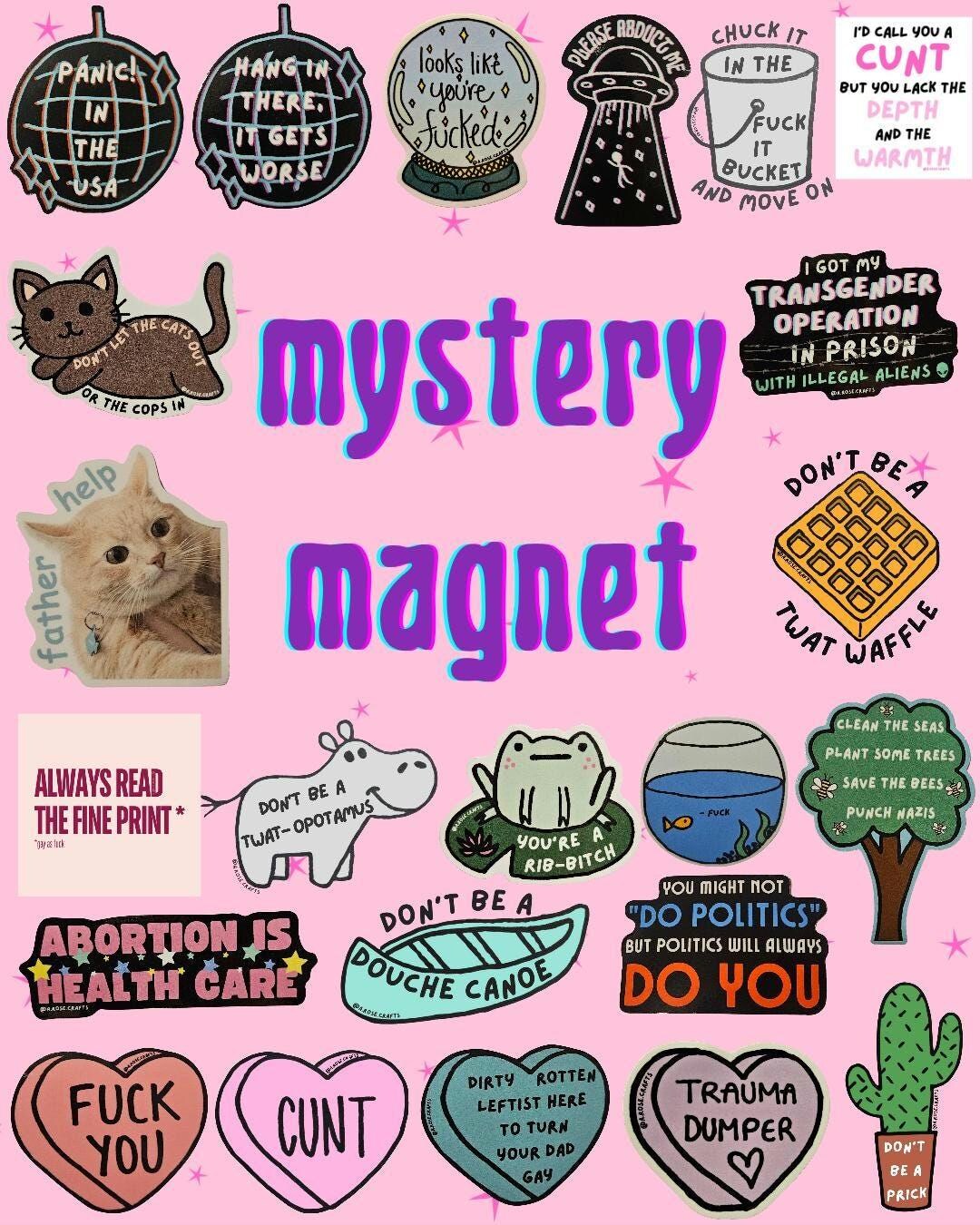 MYSTERY MAGNET | Funny Swear Word Magnet for Fridge, Office, and More ...