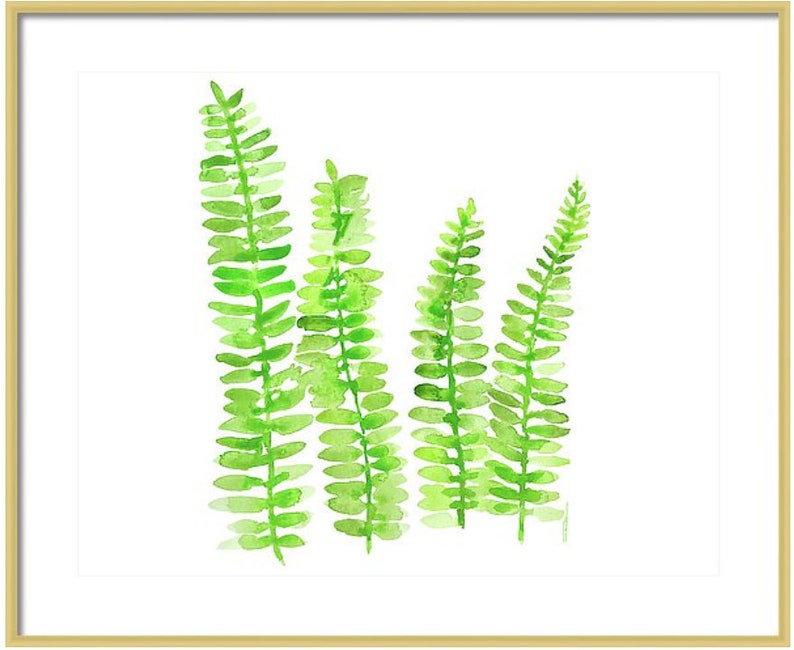 Ferns Watercolor Painting Art Print-botanical Print-plant Lady | Etsy