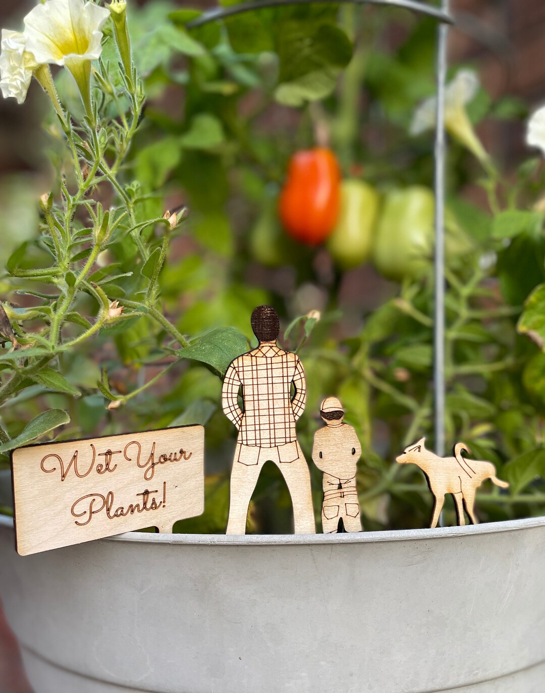 Wet Your Plants Funny Silly Plant Stakes Peeing Man Boy - Etsy