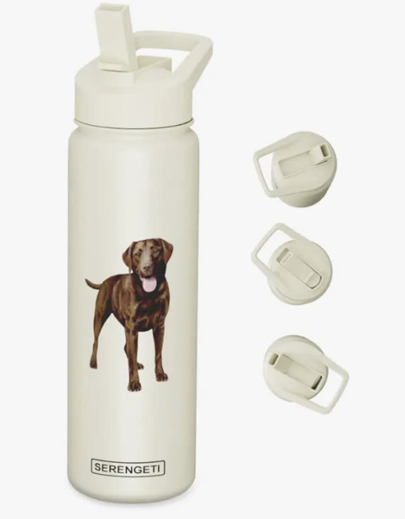 Labrador - Personalized, Stainless Steel Water Bottle, 3D Image, Vinyl ...
