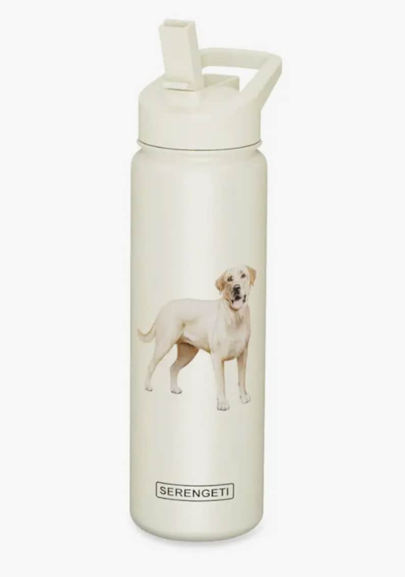Labrador - Personalized, Stainless Steel Water Bottle, 3D Image, Vinyl ...