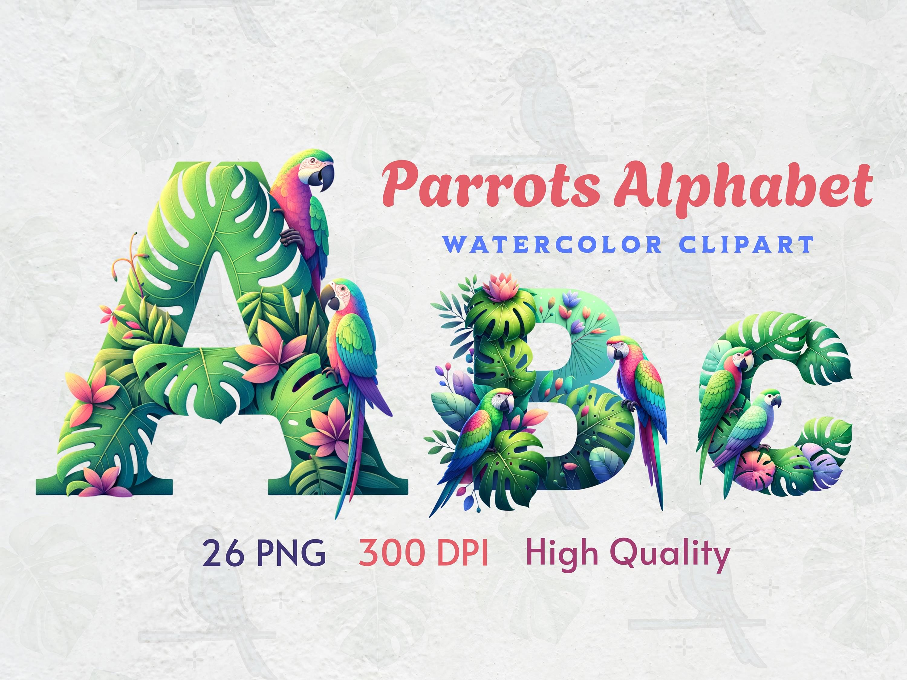26 PNG, Watercolor Parrot Alphabet Collection Clipart, Colorful Parrot ...