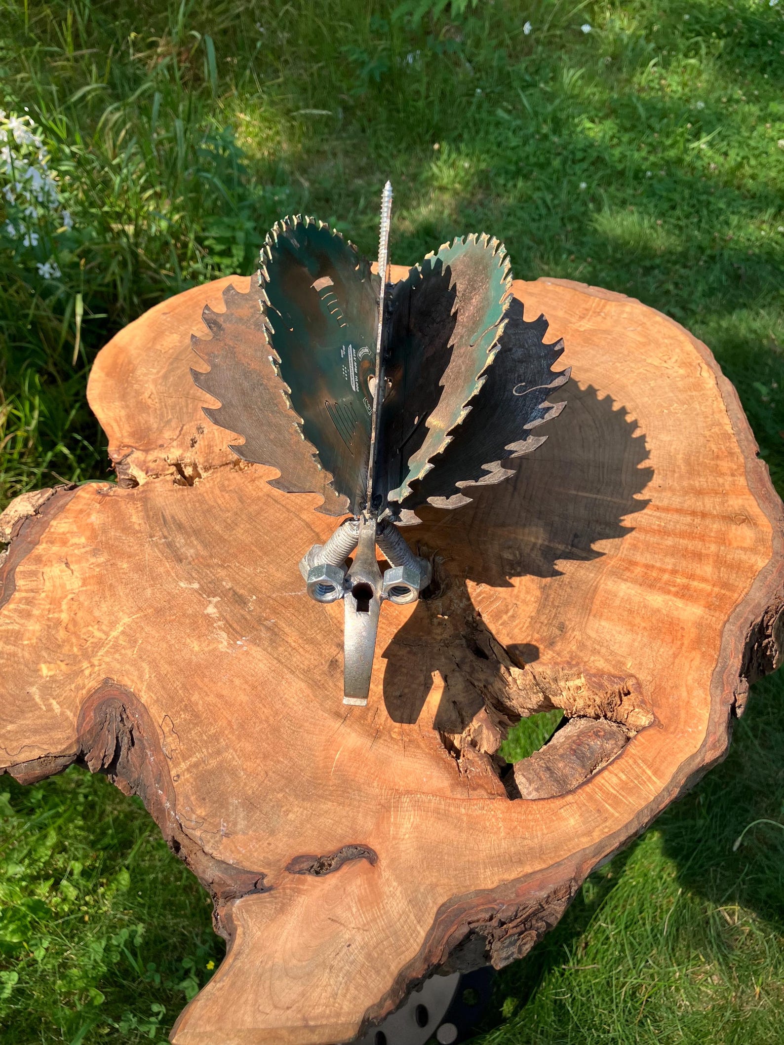 Saw Turtle - Etsy
