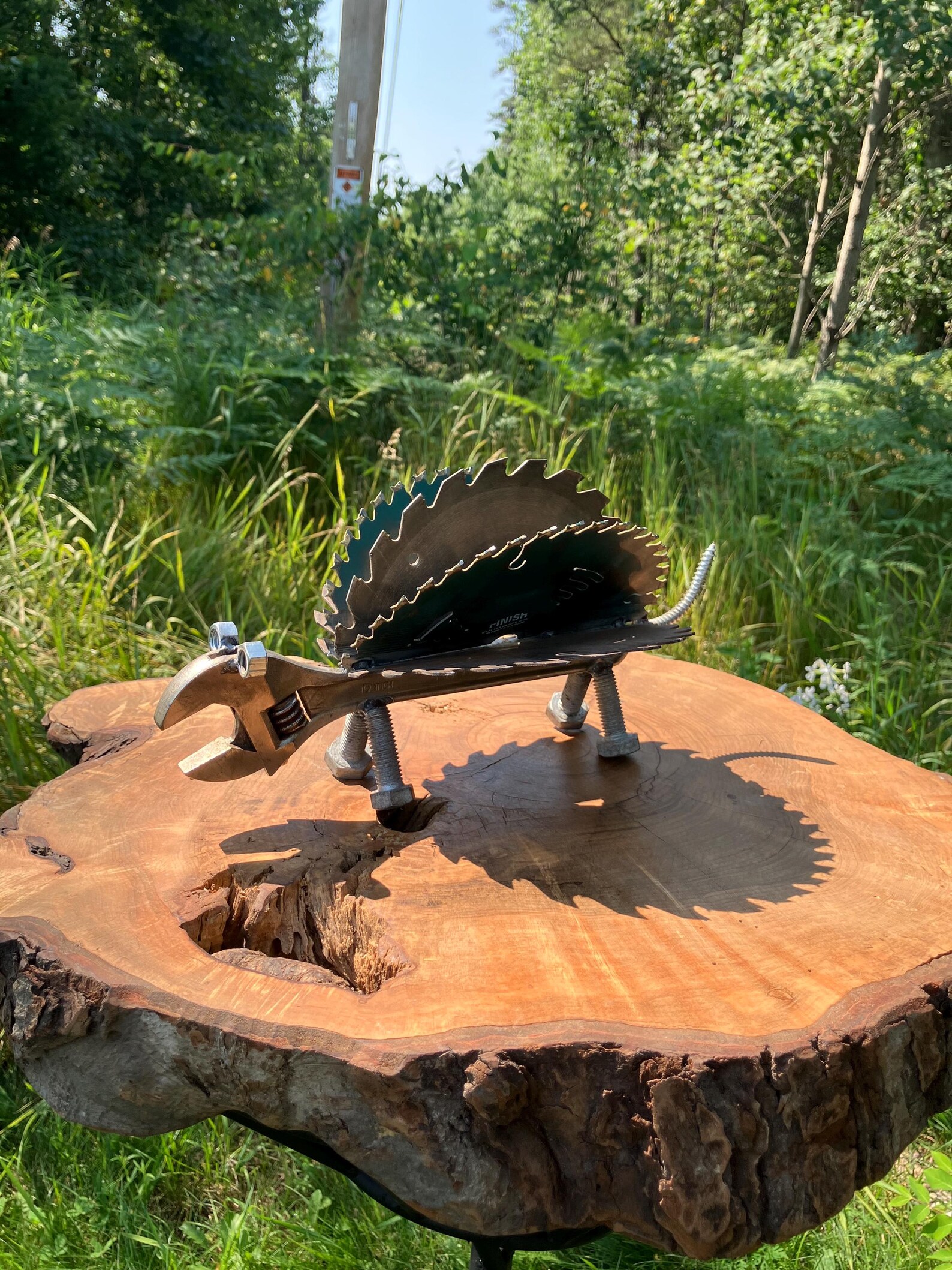 Saw Turtle - Etsy