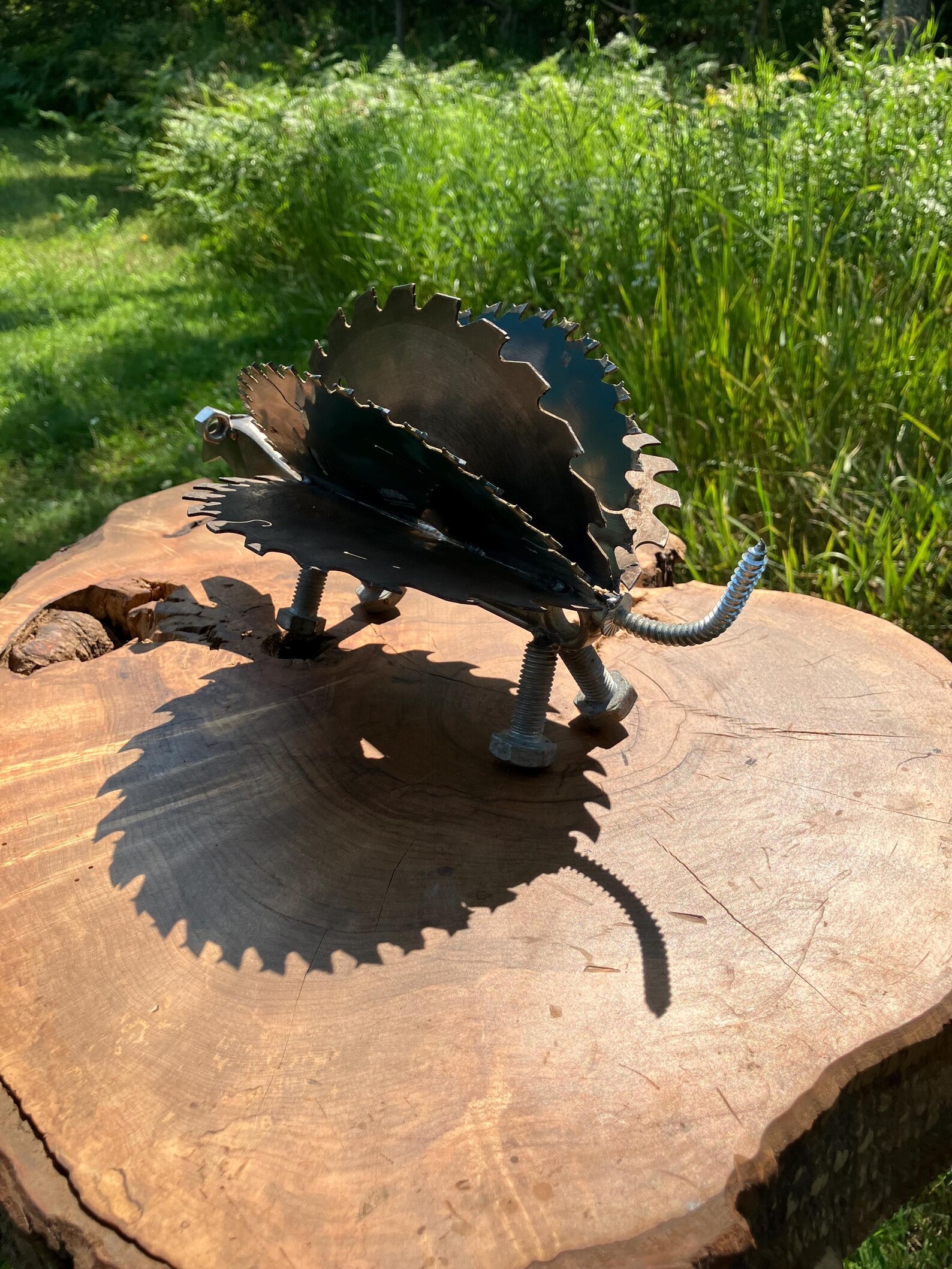 Saw Turtle - Etsy