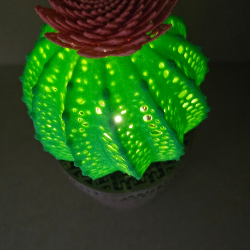 Cactus Lamp Shade - Etsy