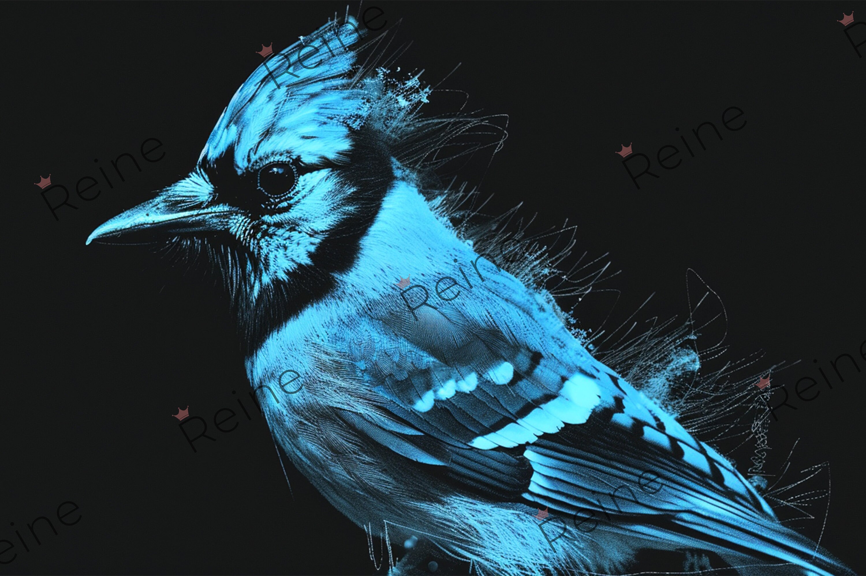 Fantasy Ink Blue Jay Silhouette - Etsy