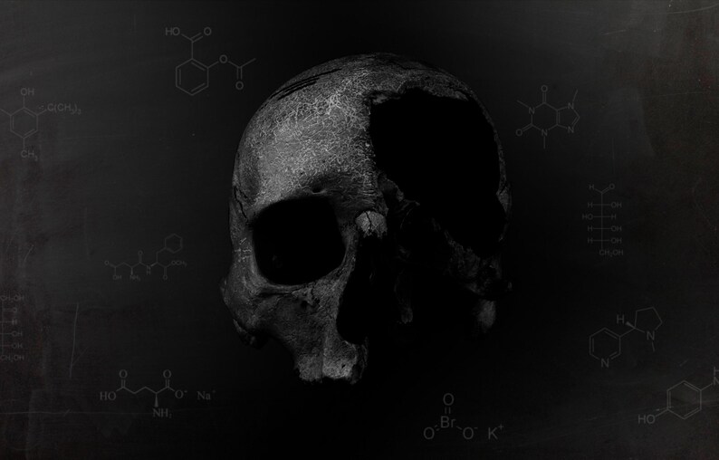 9XP0547 Gothic Human Skull With Chemistry Equations nightmare ...