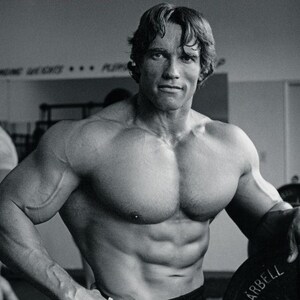 Arnold Schwarzenegger (picture Poster Bodybuilding Mr Universe Actor ...