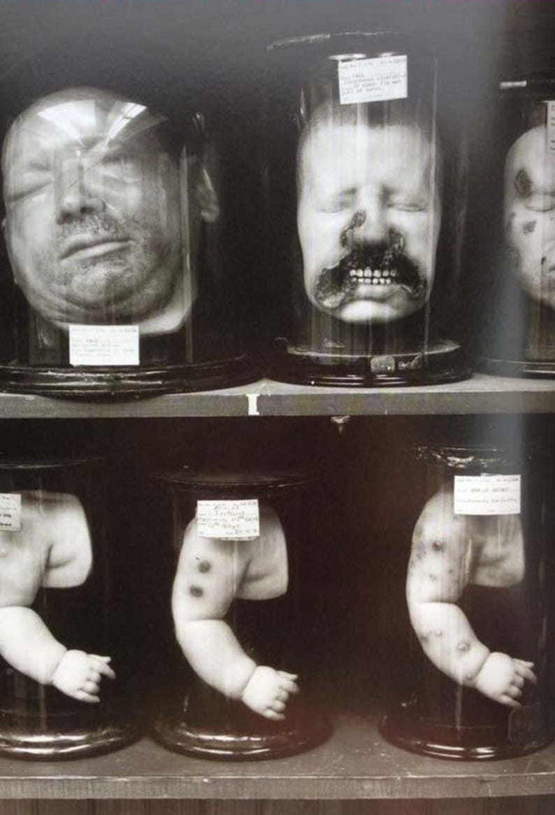 9XP0476 – Antique 19th Century Victorian (c1880’s) Photograph of ...