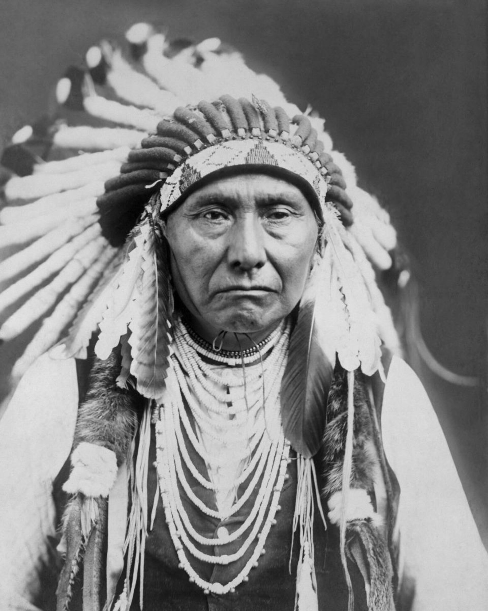 Print: Joseph, Nez Perce, 1903 - Etsy