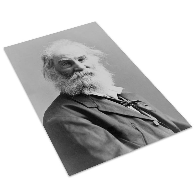 Print: Walt Whitman, Portrait, Facing Front, Circa 1880 - Etsy