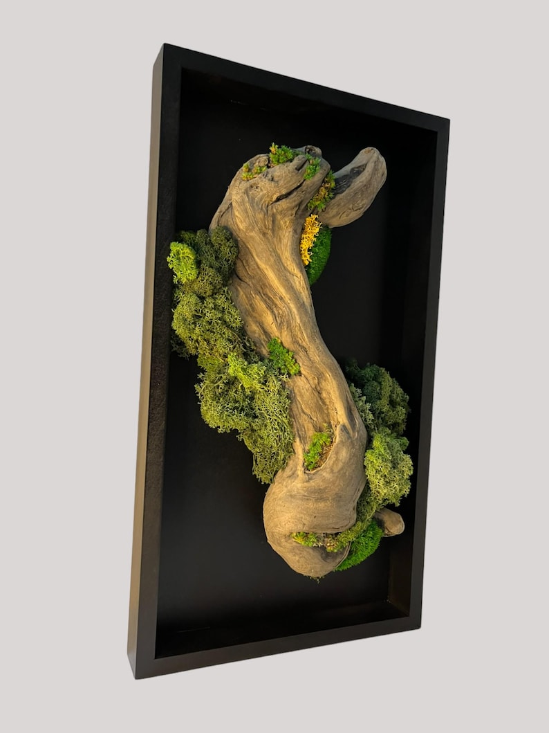 Mossy Natural Tree Branch Wall Decor Framed Moss Art Birthday Gift Gift ...