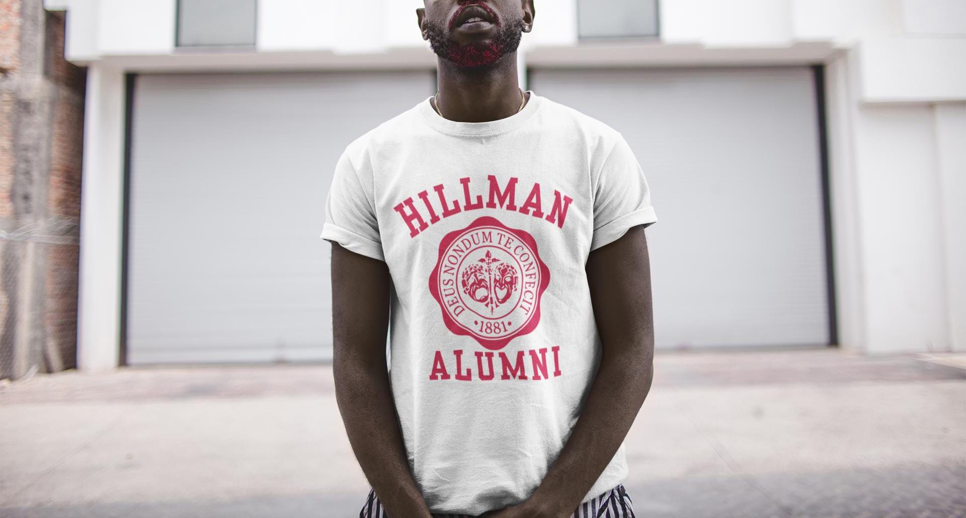 Hillman Shirt, Hillman College Shirt, A Different World TV Show, A ...