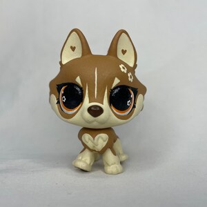 Lps Honey Husky - Etsy