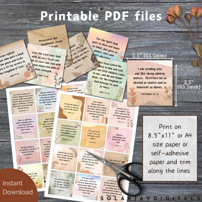 365 Boho Bible Verse Cards: Daily Bread of Inspiration, Encouragement ...