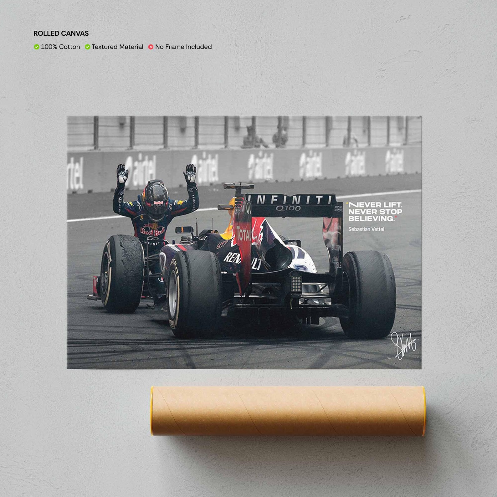 Sebastian Vettel Poster, Vettel RB9 2013 Formula 1 Driver Canvas ...