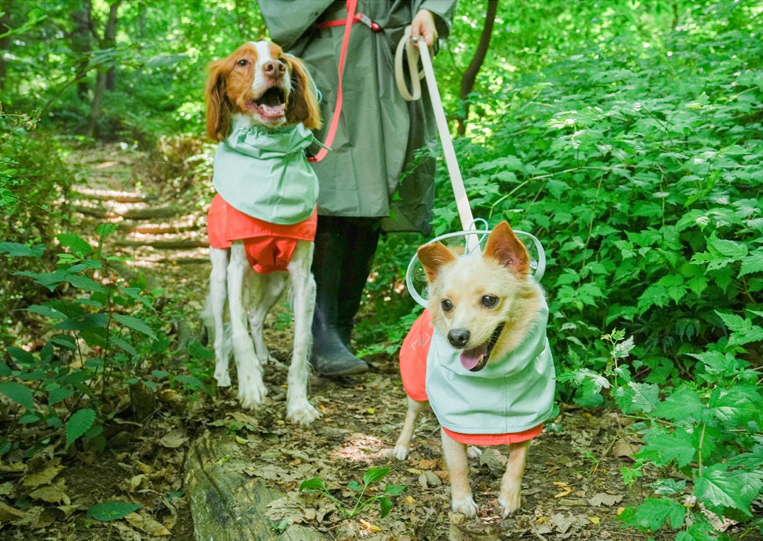 Puppy Gallery Outdoor Poncho for Dogs Waterproof Dog Raincoat ...