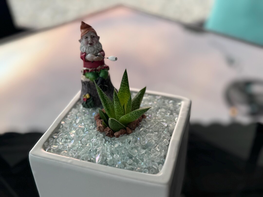 Roasty Gnome Marshmallow Toasting With an Aloe Vera Campfire - Etsy