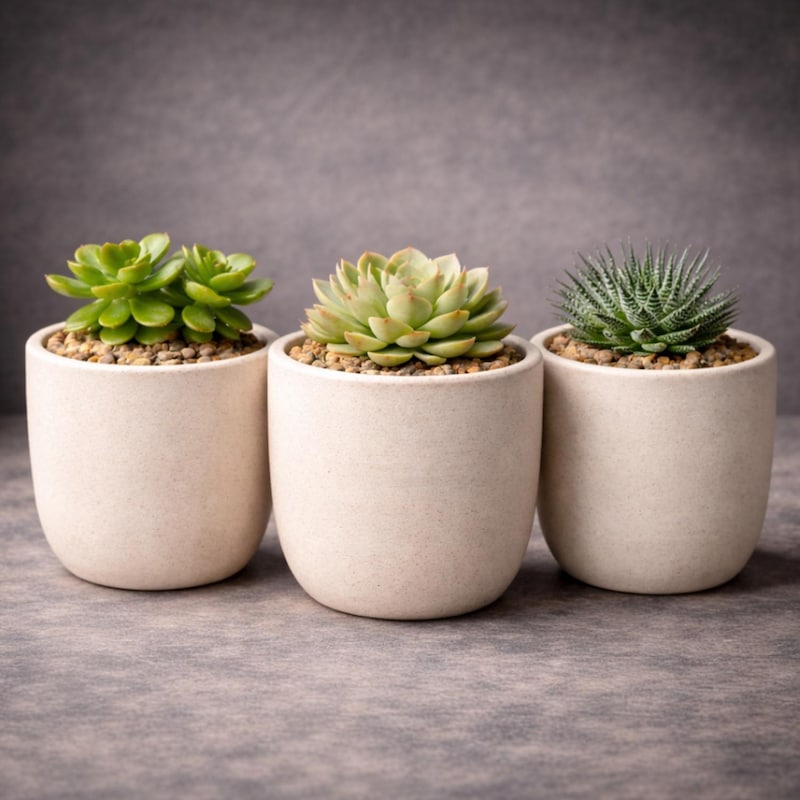 12 Cm Diameter Plant Pot - Etsy UK