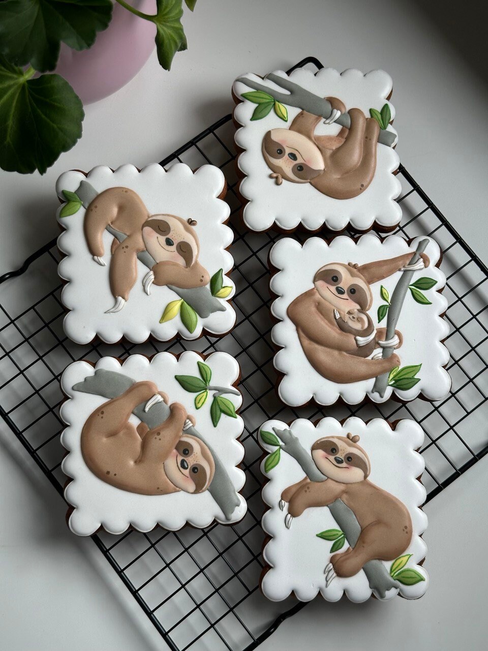 Cookie Set "sloths" Will Make a Perfect Birthday Gift! Cookies With ...