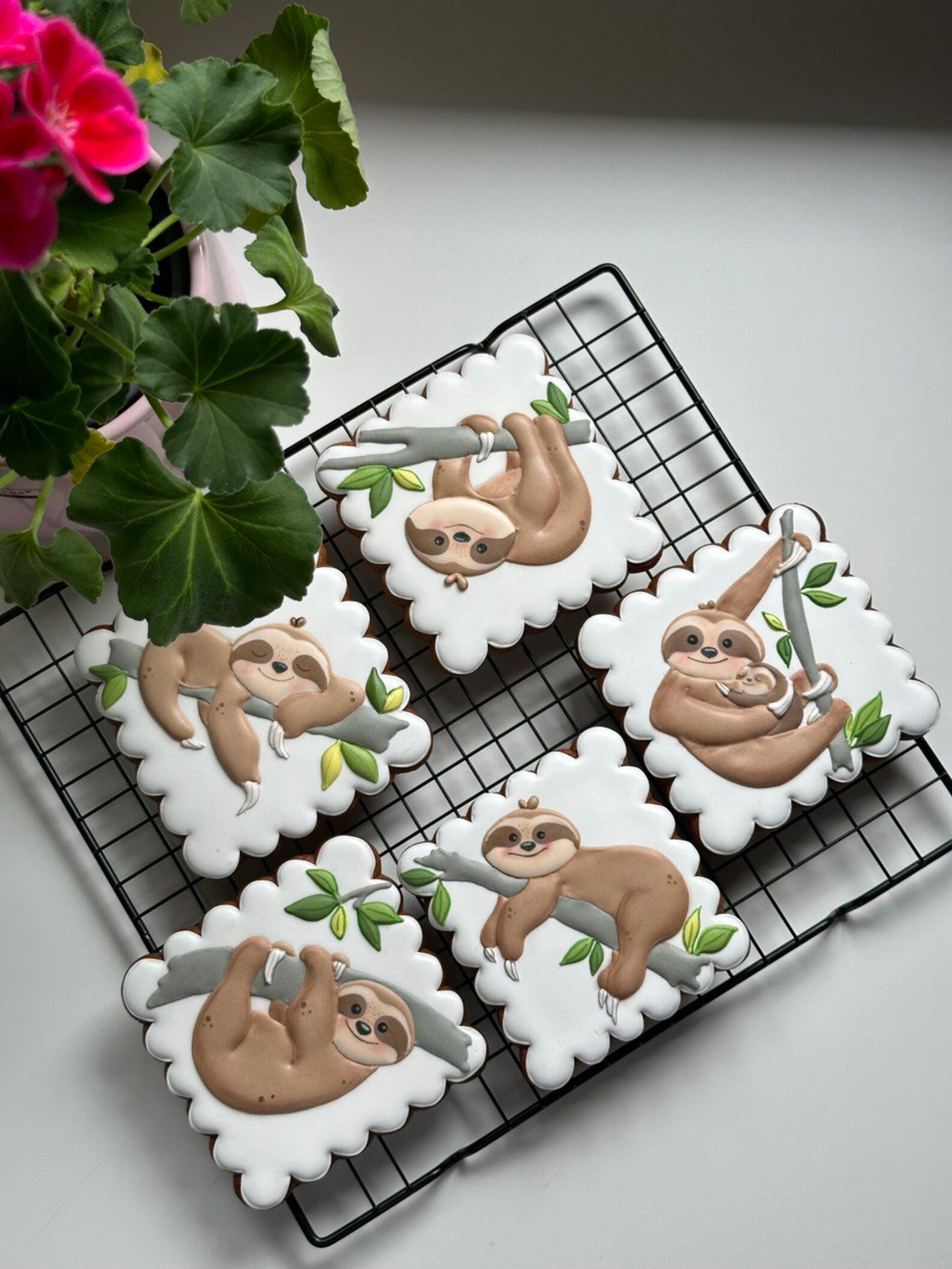 Cookie Set "sloths" Will Make a Perfect Birthday Gift! Cookies With ...