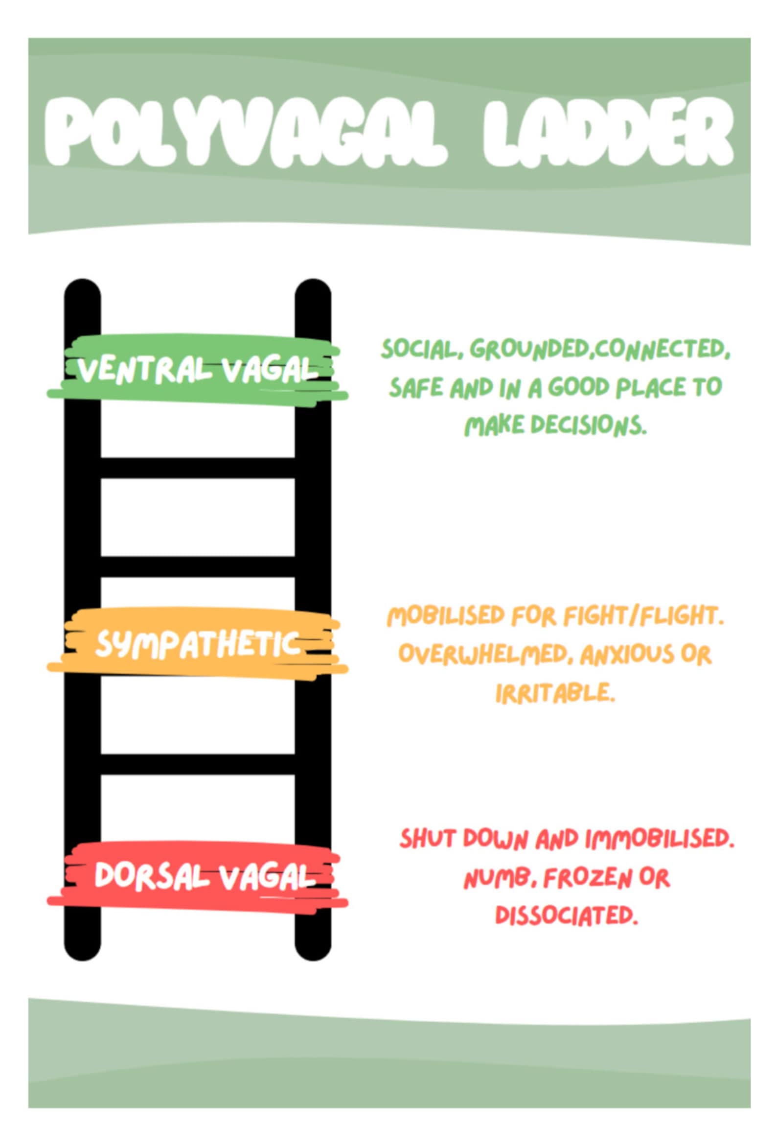 Polyvagal Ladder Handout - Etsy