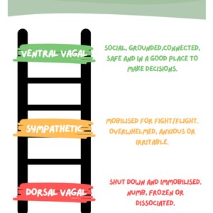 Polyvagal Ladder Handout - Etsy