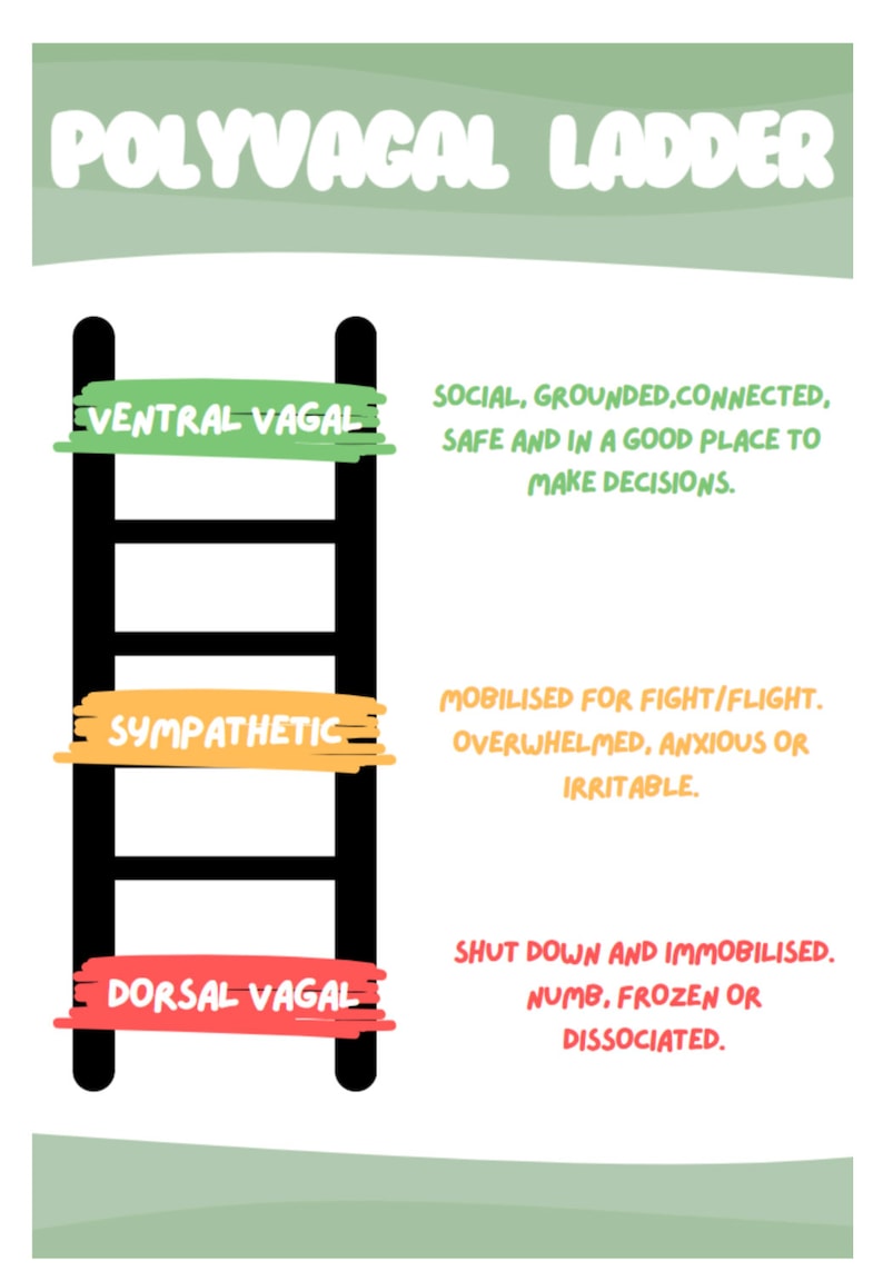 Polyvagal Ladder Handout - Etsy
