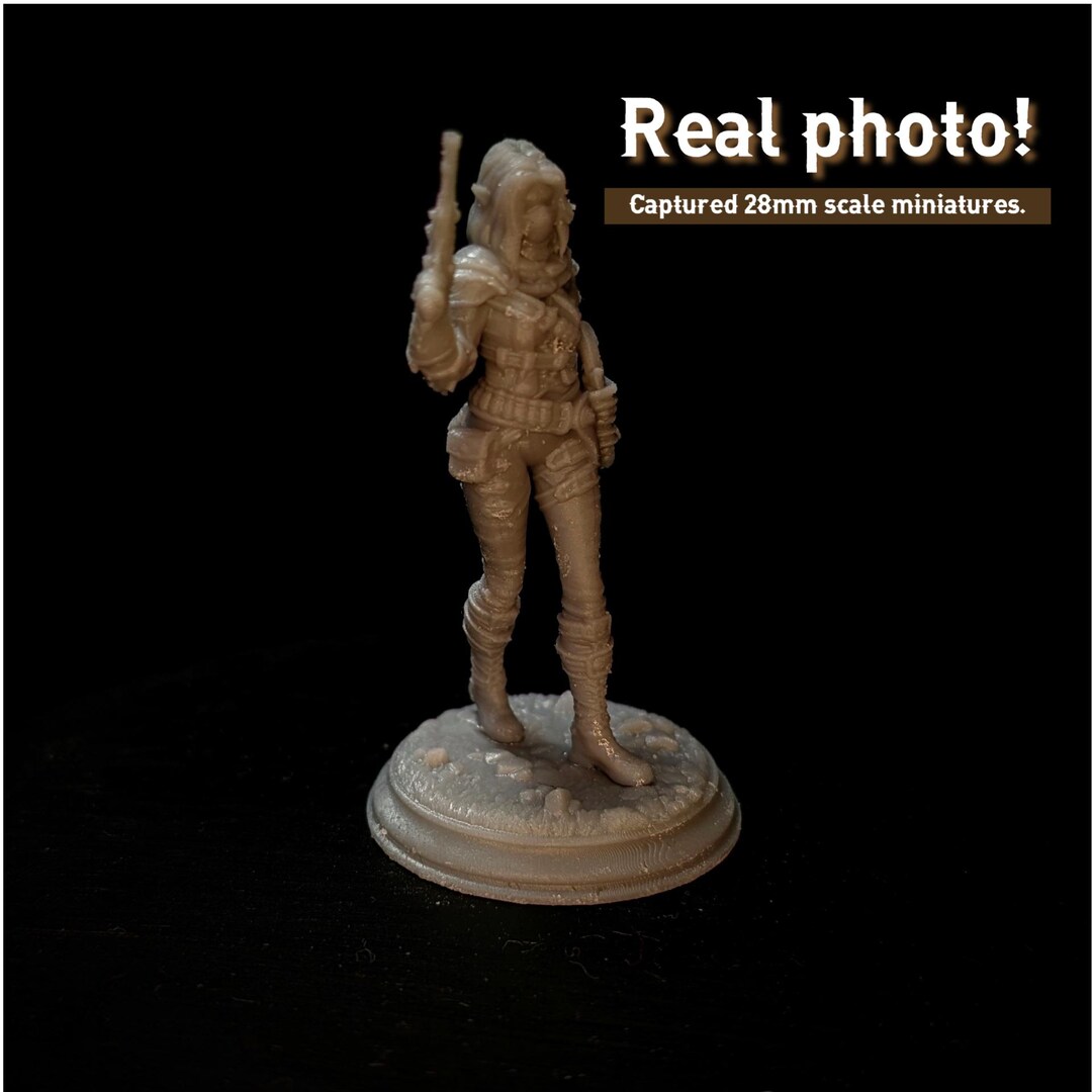 Female Elf / Half-elf, Rogue, Fighter Gunslinger Dungeons and Dragons ...