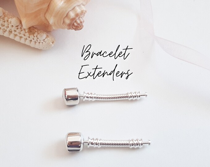 European Charm Bracelet, Pandora Style Bracelet, Charm Bracelets ...