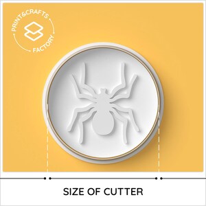 Spider Cookie Cutter - Cobweb, Fantasy, Halloween - Spooky and ...