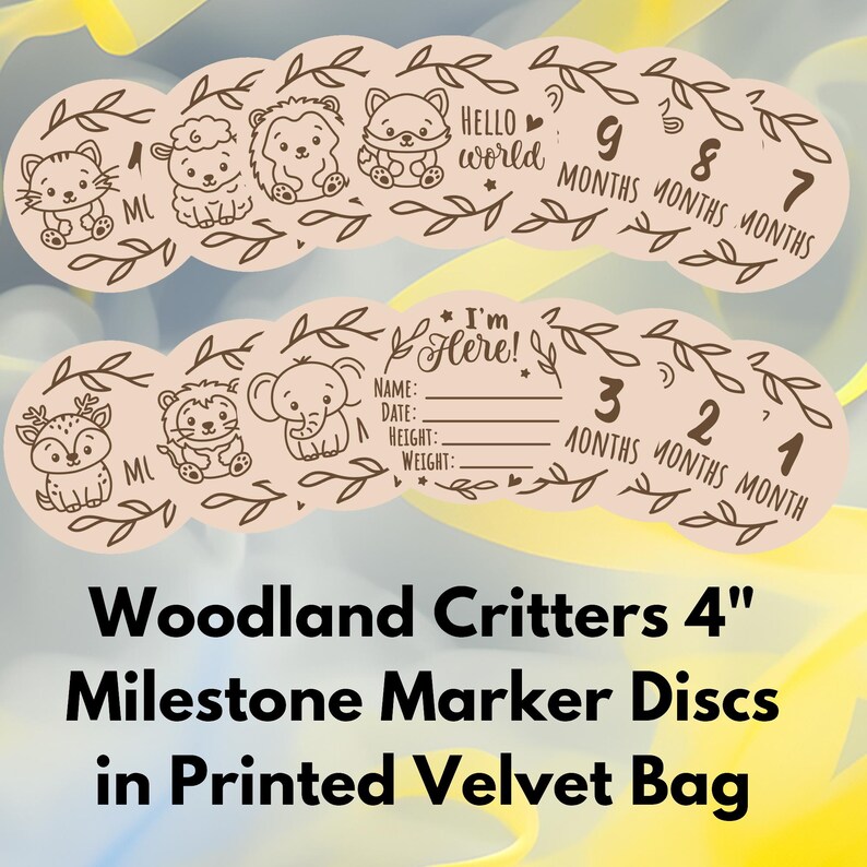 Woodland Critters Wooden Milestone Markers - 14 Baby Monthly Milestones ...