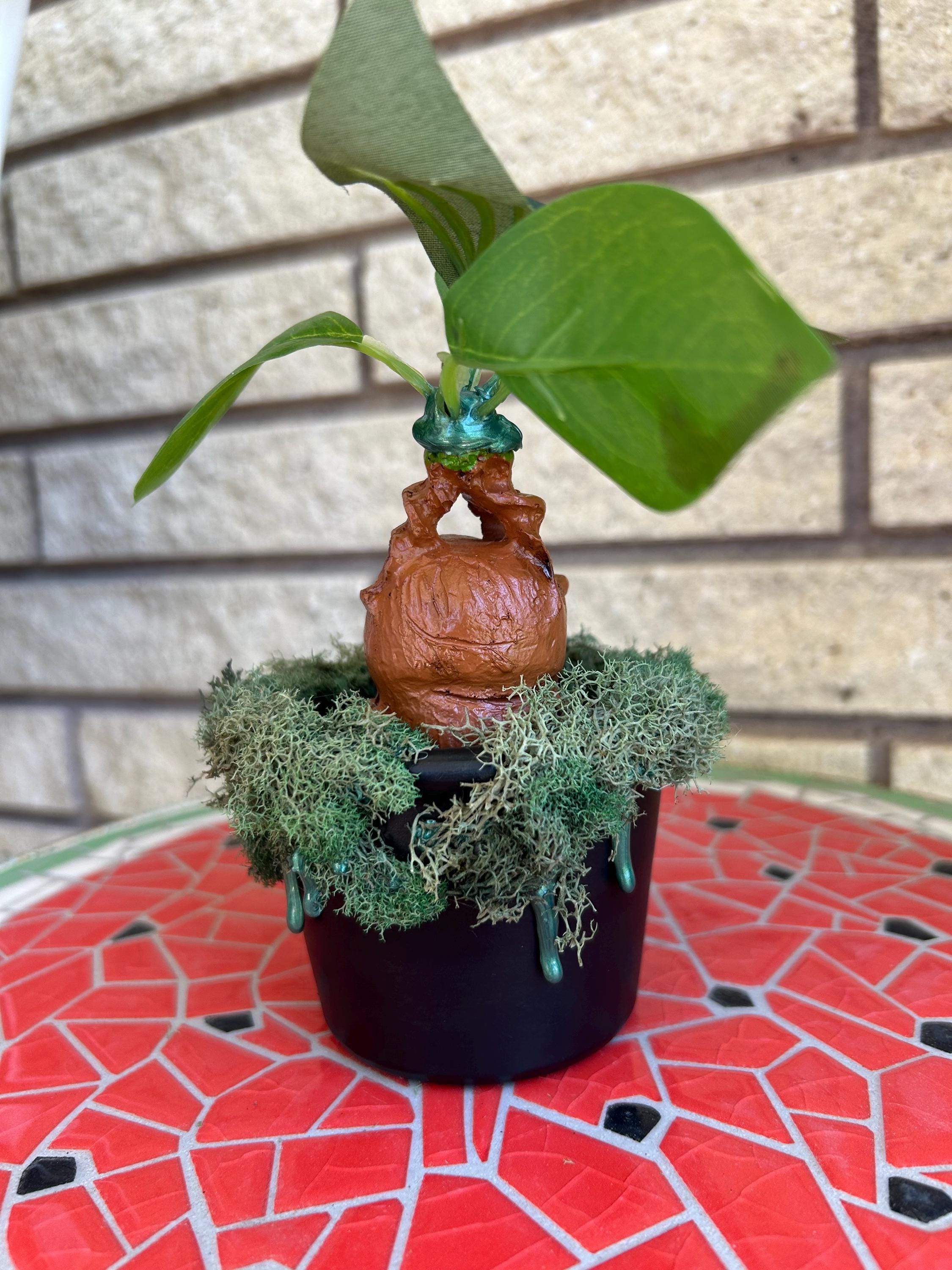 Baby Mandrake Harry Bookshelf Decor Halloween Decor Herbology Magical ...