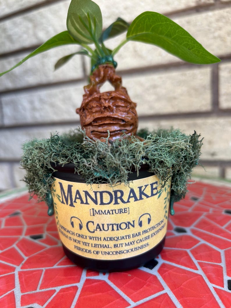 Baby Mandrake Harry Bookshelf Decor Halloween Decor Herbology Magical ...