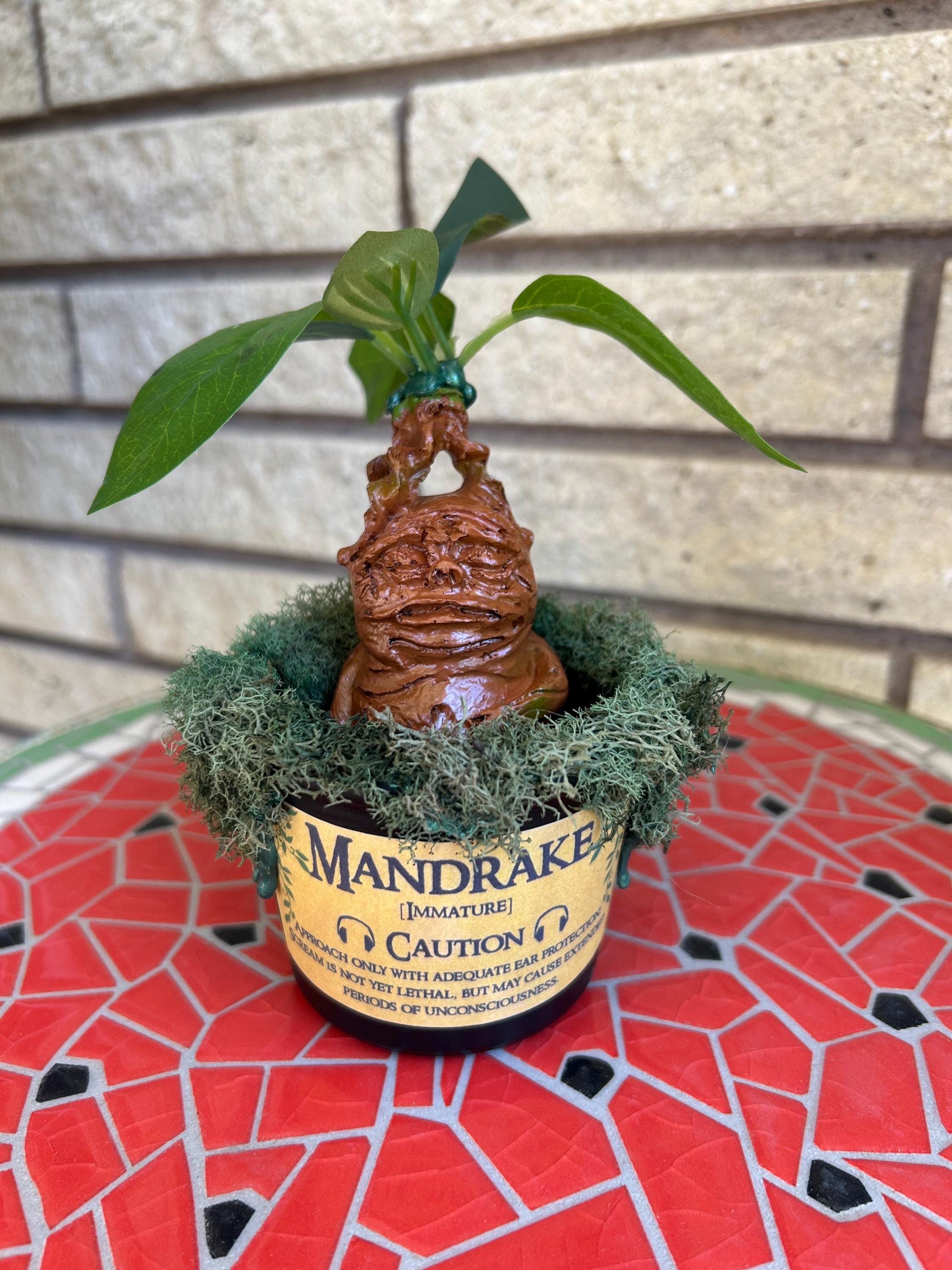 Baby Mandrake Harry Bookshelf Decor Halloween Decor Herbology Magical ...