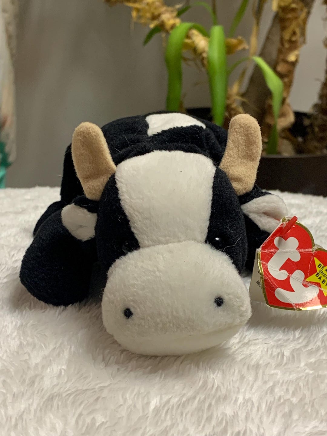 Daisy the Dairy Cow Beanie Baby Very, Very Extremely Rare - Etsy