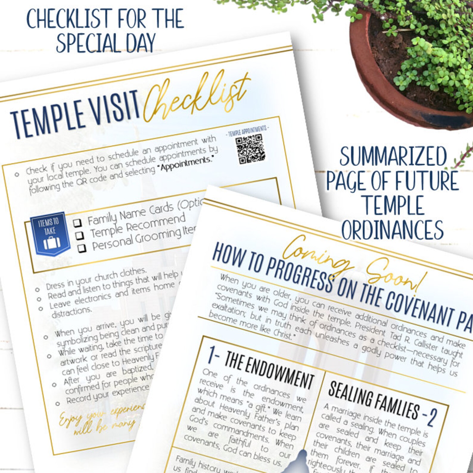 Editable Preparing for Temple Baptisms Booklet INSTANT - Etsy