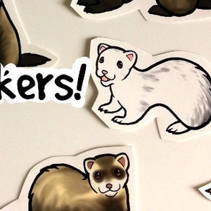 Cute Ferret Stickers Pack of 8 Custom Made to Order - Etsy