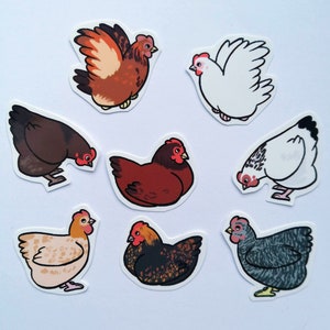 Cute Decorative Chicken Stickers Pack of 8 - Etsy