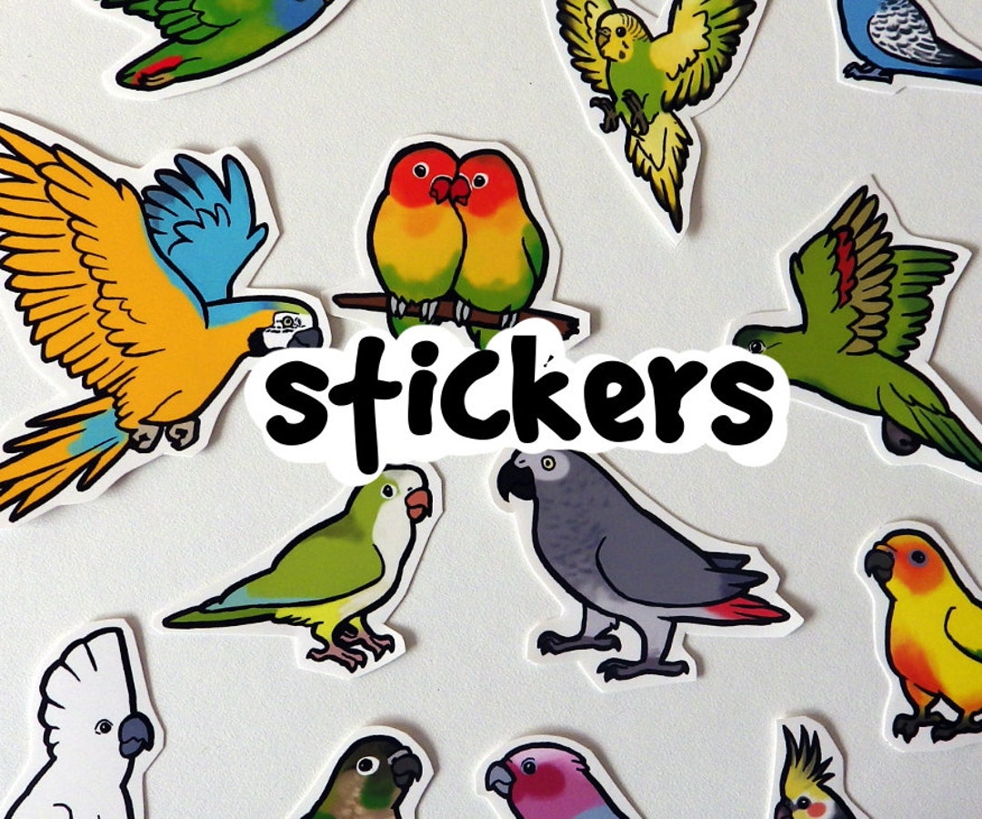 Parrot Sticker Assortment Supporting CT Parrot Rescue Made to Order - Etsy