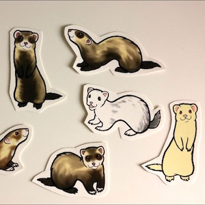 Cute Ferret Stickers Pack of 8 Custom Made to Order - Etsy