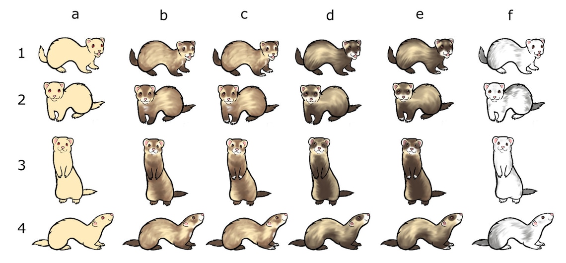 Cute Ferret Stickers Pack of 8 Custom Made to Order - Etsy