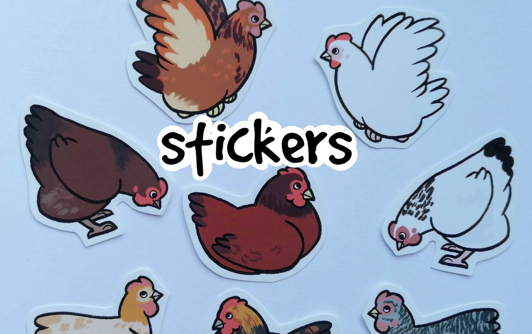 Cute Decorative Chicken Stickers Pack of 8 - Etsy