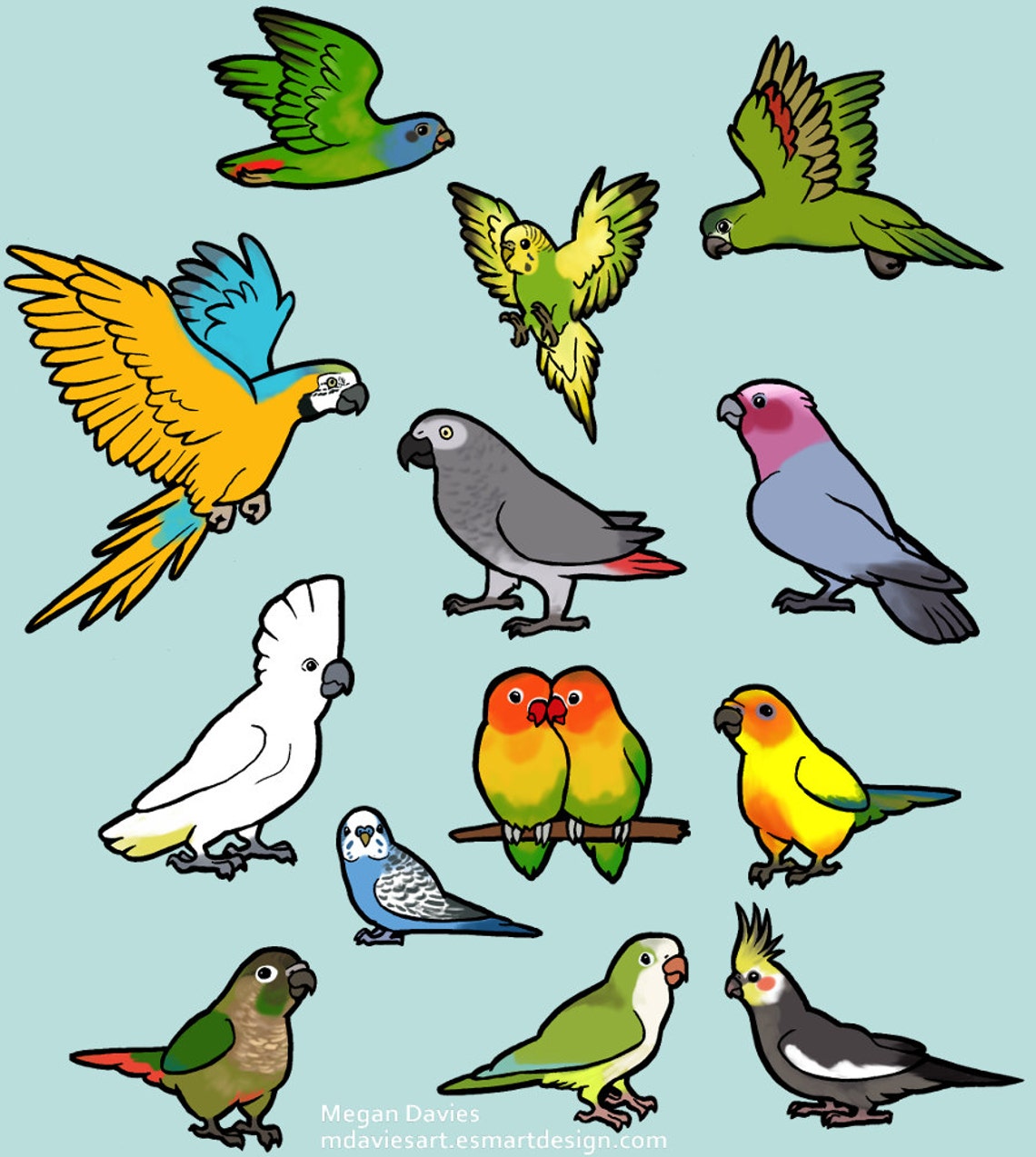 Parrot Sticker Assortment Supporting CT Parrot Rescue Made | Etsy