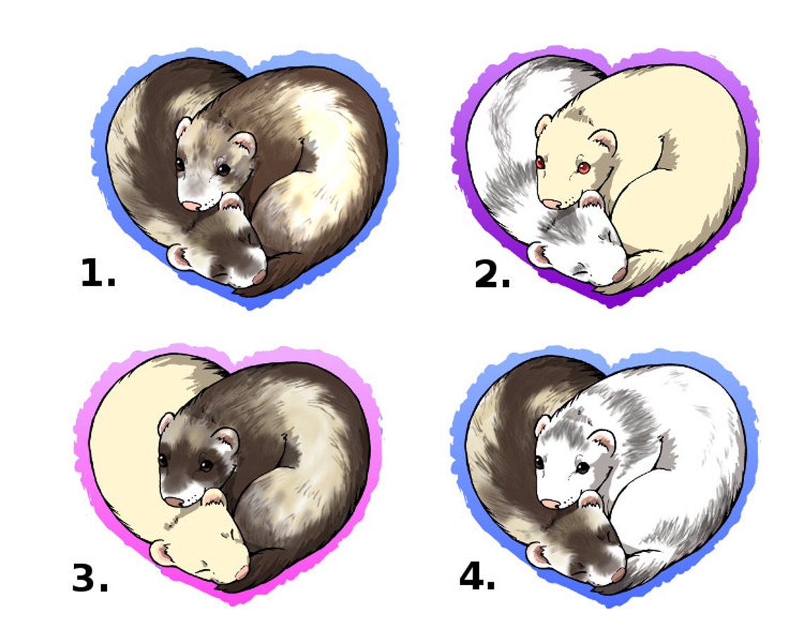 Ferret Heart Cute Ferret Stickers X 2 - Etsy Sweden