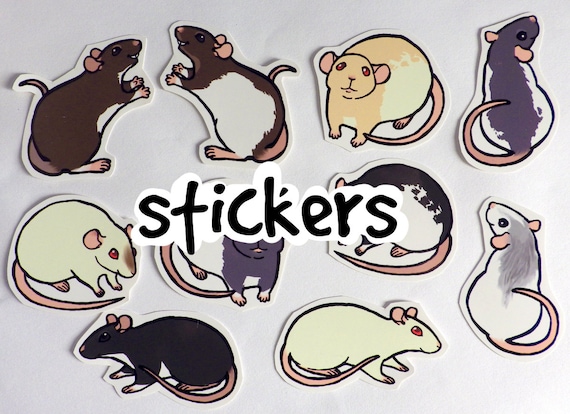 Cute Fancy Rat Stickers Pack of 8 to 10 Made to Order - Etsy
